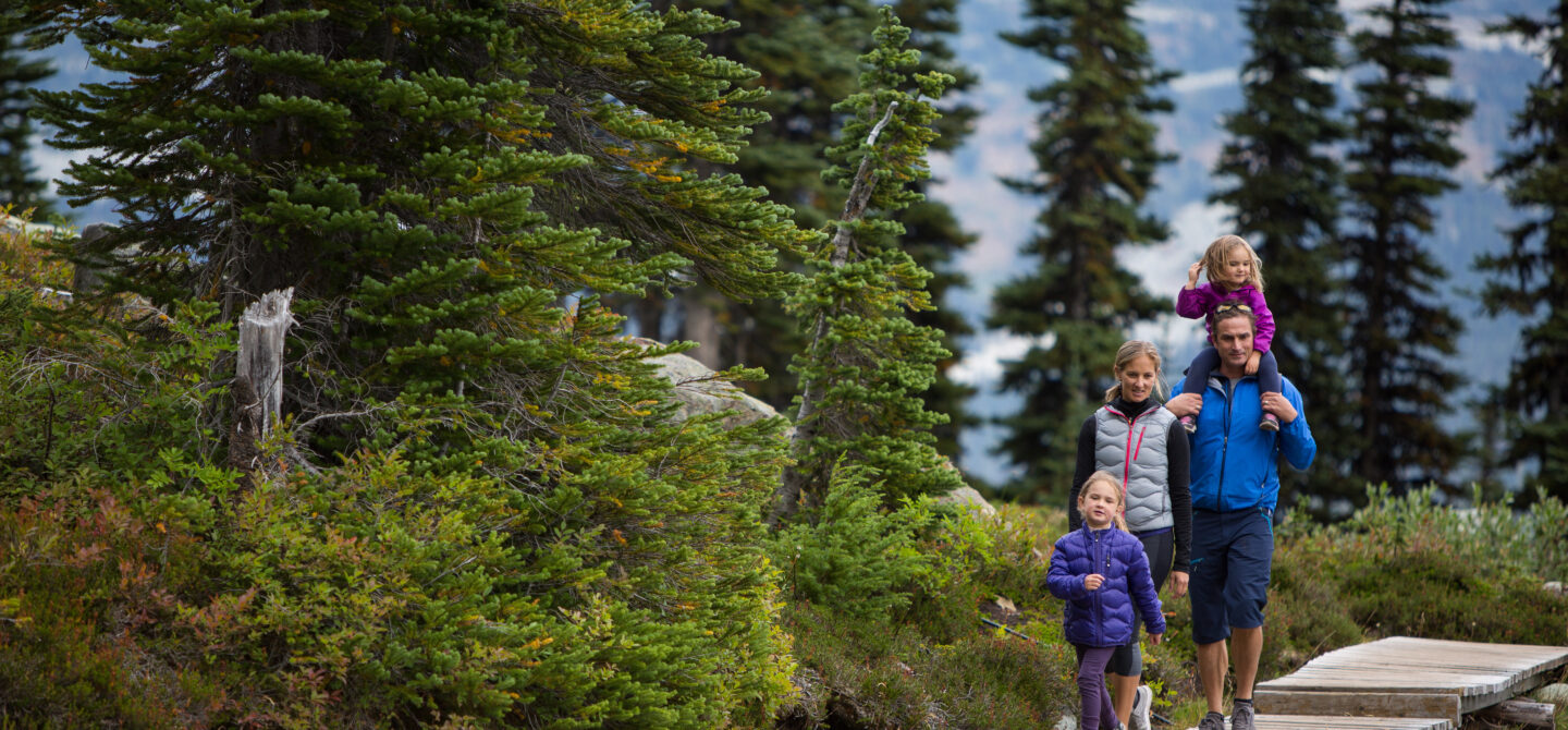 Canada Immigration News: Latest Changes & Updates - Canadim